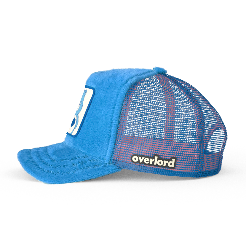Care bears: Grumpy Bear Trucker Hat – Shop Cool Tricks